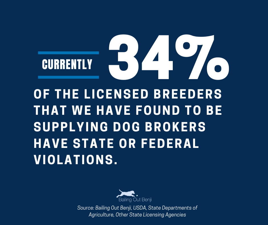 National Averages for Dog Breeding Industry - Bailing Out Benji