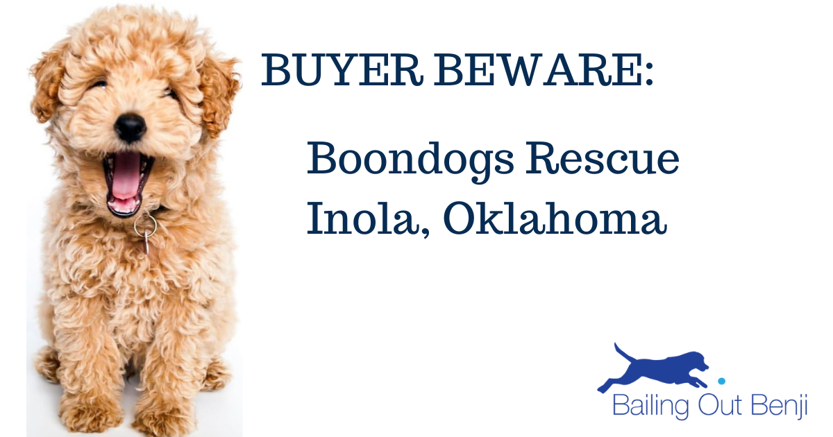 Buyer Beware: Boondogs Rescue - Bailing Out Benji