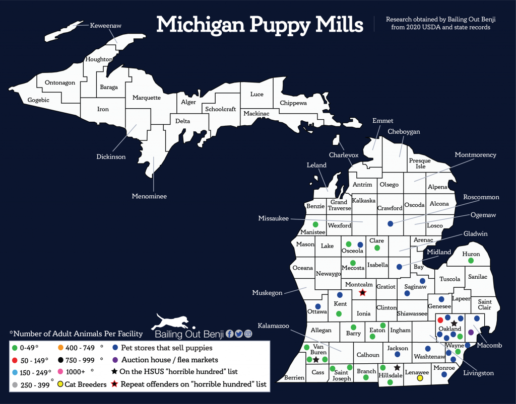 Michigan Puppy Store Sourcing - Bailing Out Benji