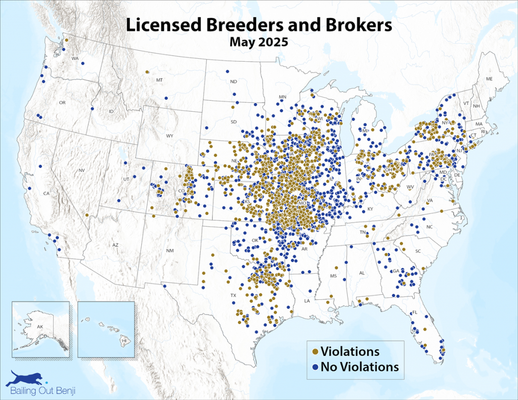 Licensed Breeder Search Engine - Bailing Out Benji