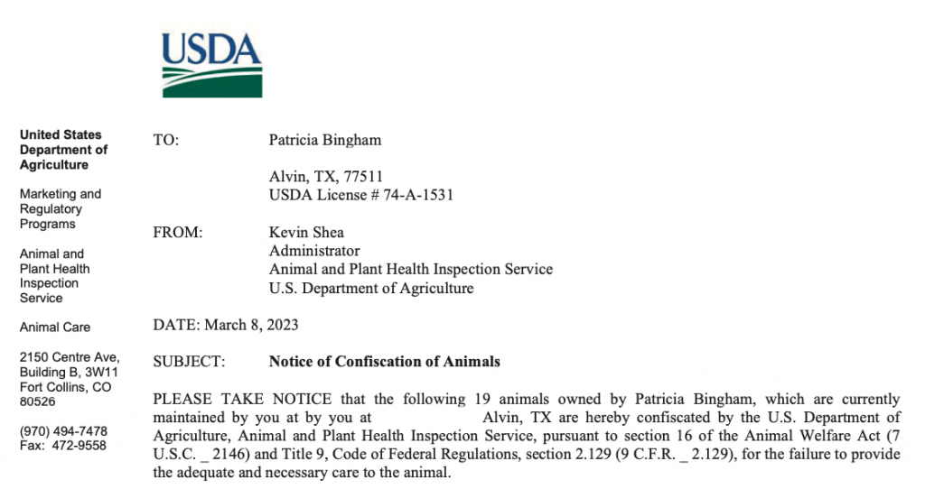 Cats Seized from USDA licensed Cat Breeder in Texas - Bailing Out Benji