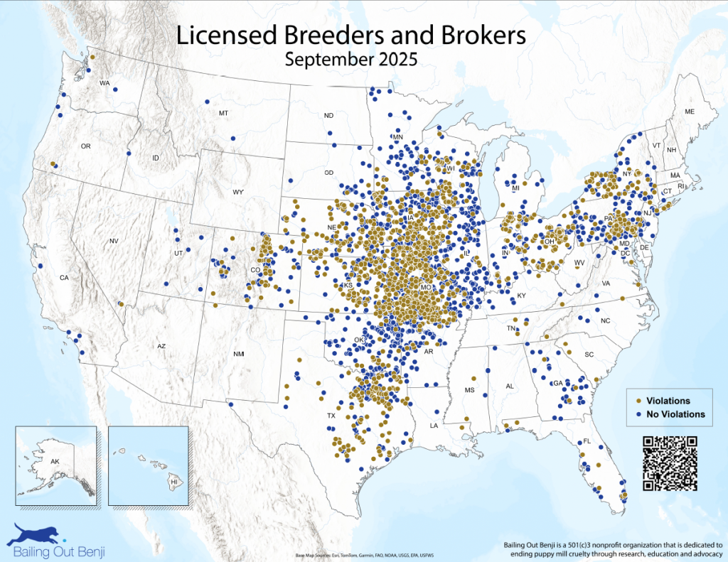 Licensed Breeder Search Engine - Bailing Out Benji