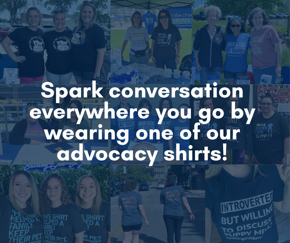 Benji Store - Bailing Out Benji