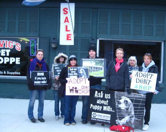 1,000 Hours, Looking Back on 5 Years - Bailing Out Benji