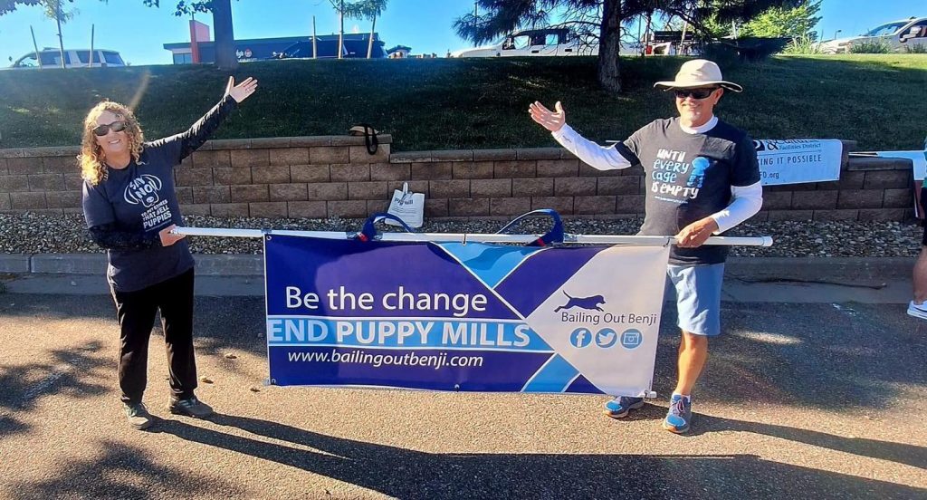 Volunteer with us! - Bailing Out Benji